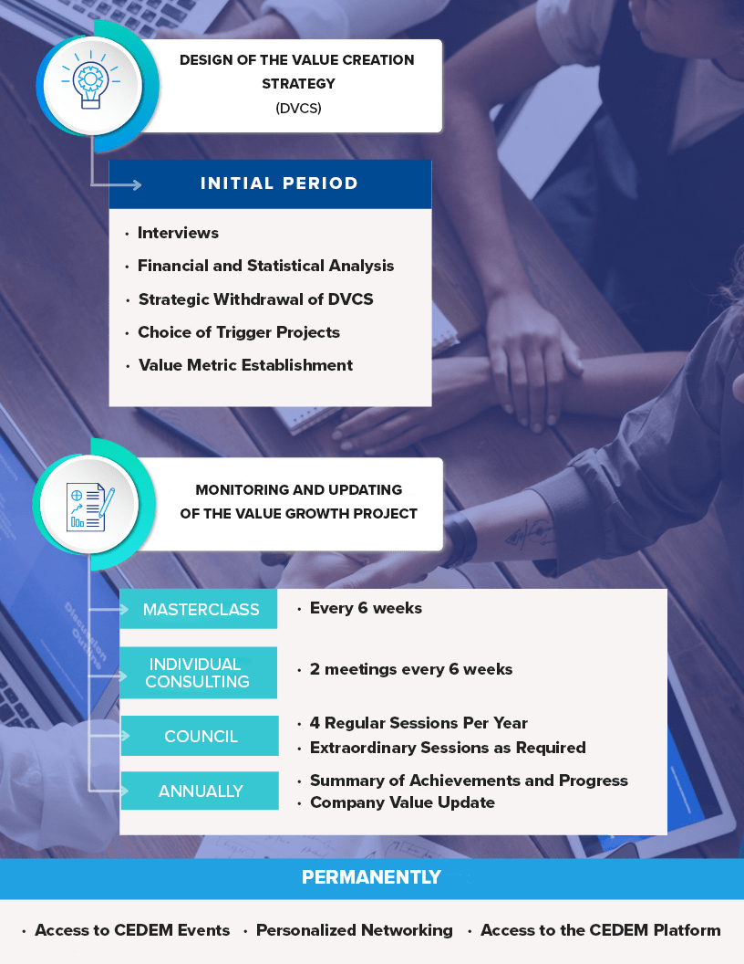 Business Owner Consulting – elementor – CEDEM